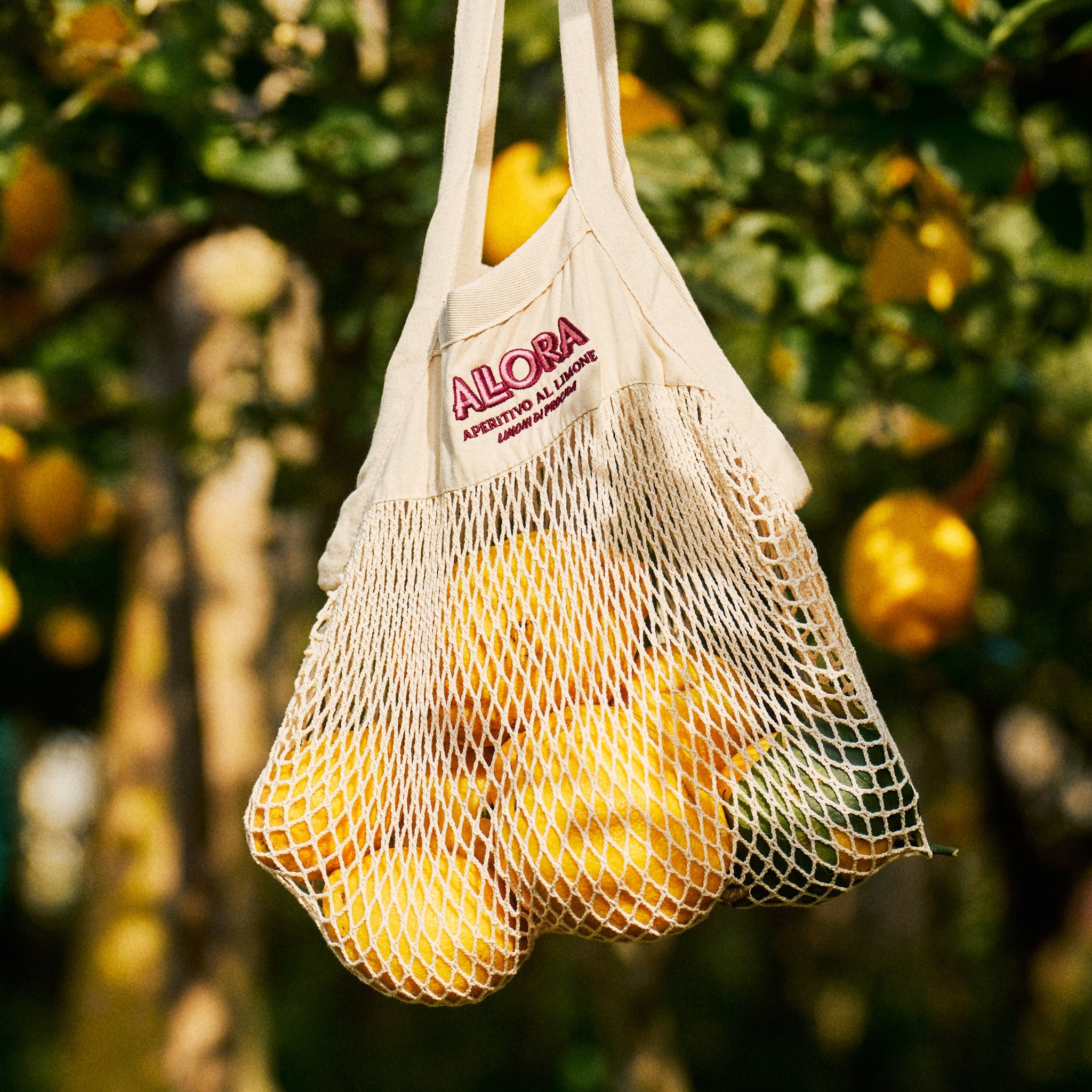 Allora Lemon Net Bag